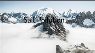 Salt Pollution at emaze Presentation