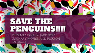 Save the Penguins! at emaze Presentation