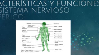 caracteristicas y funciones del sistema perifico at emaze Presentation