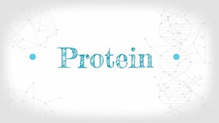 Protein at emaze Presentation
