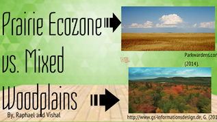 Ecozone prezentation at emaze Presentation