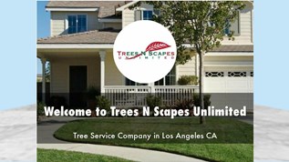 Trees N Scapes Unlimited at emaze Presentation