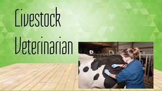 Veterinarian ASL at emaze Presentation