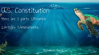 US Constitution Project at emaze Presentation