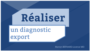 Diagnostic export at emaze Presentation