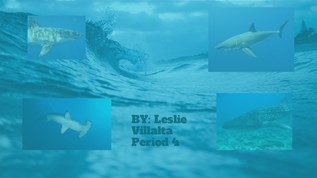 Favorite fish at emaze Presentation