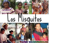 Misquitos at emaze Presentation