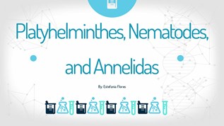 worms at emaze Presentation