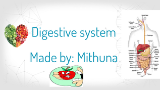 Digestive system at emaze Presentation