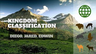 Classification at emaze Presentation