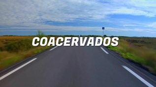 coacervados at emaze Presentation
