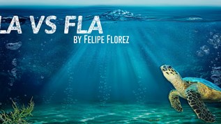 FLA VS SLA at emaze Presentation