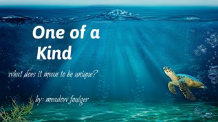 One of a Kind at emaze Presentation