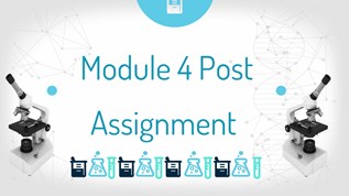 Module 4 Post Assignment at emaze Presentation