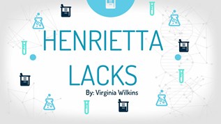 at emaze Presentation