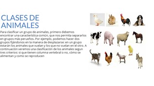 CLASES DE ANIMALES at emaze Presentation