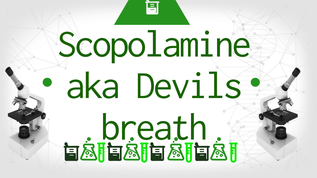 Devils Breath at emaze Presentation