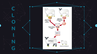 Cloning Wars at emaze Presentation