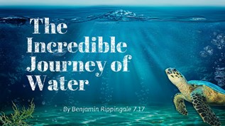 The Incredible Journey of Water at emaze Presentation