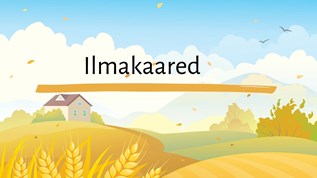Ilmakaared at emaze Presentation