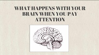 what happens with your brain when you pay attention at emaze Presentation