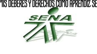 MIS DEBERES Y DERECHOS at emaze Presentation