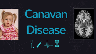 Canavan Disease at emaze Presentation