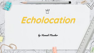 Echolocation at emaze Presentation