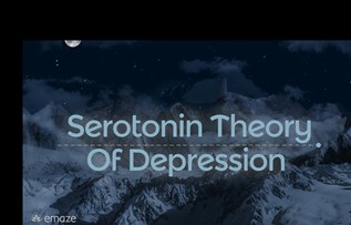 Serotonin Theory Of Depression at emaze Presentation