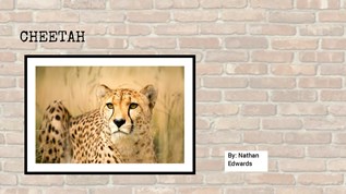 Cheetah at emaze Presentation