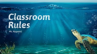 Classroom Rules at emaze Presentation