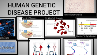 Human Genetic Disease Project at emaze Presentation