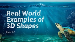 Real World Examples of 3D Shapes at emaze Presentation