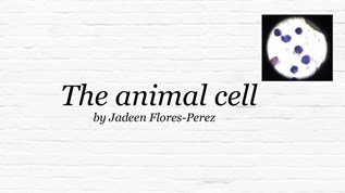 at emaze Presentation