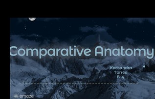 Comparative Anatomy at emaze Presentation