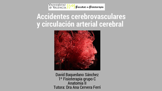 Accidentes Cerebrovasculares Pptx Copy1 At Emaze Presentation