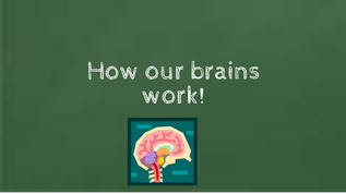 How our brains work.pptx at emaze Presentation