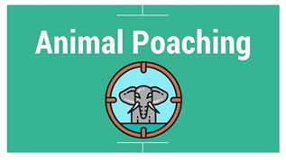 Animal Poaching at emaze Presentation