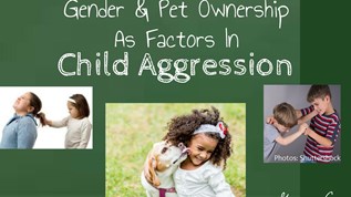 Aggression at emaze Presentation