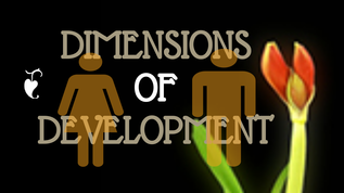 DIMENSIONS OF DEVELOPMENT at emaze Presentation