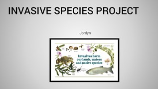 Invasive Species Project at emaze Presentation