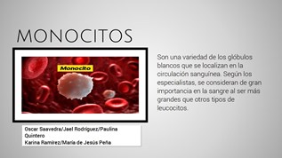 Monocitos at emaze Presentation