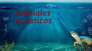 animales acuaticos at emaze Presentation
