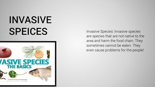 Invasive Species at emaze Presentation