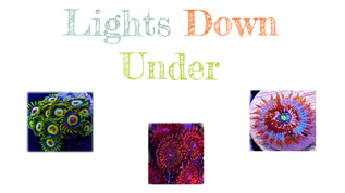 Presentation Name At Emaze Presentation