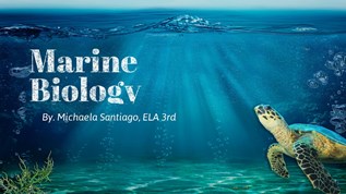 Marine Biology at emaze Presentation