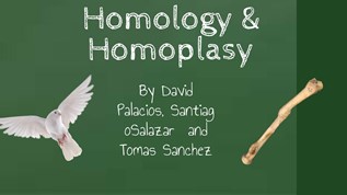Homology & Homoplasy at emaze Presentation