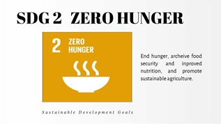 SDG 2 ZERO HUNGER at emaze Presentation