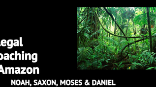 Amazon Rainforest at emaze Presentation