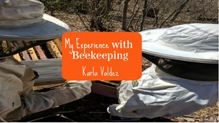 Beekeeper's Apprentice at emaze Presentation